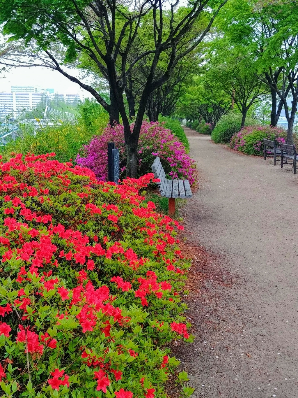 GNM자연의품격 코큐텐11 코엔자임Q10 11