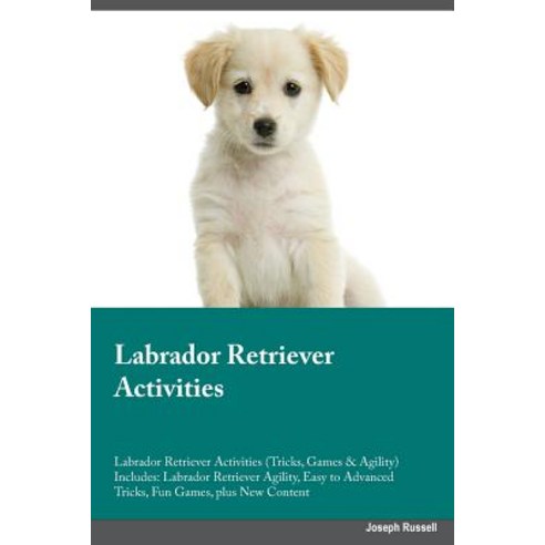 Labrador Retriever Activities Labrador Retriever Activities (Tricks ...