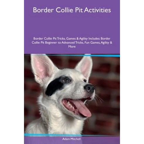 Border Collie Pit Activities Border Collie Pit Tricks Games & Agility ...