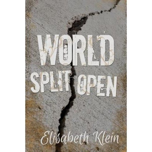World Split Open Paperback, Redemption Press - 가격 변동 추적 그래프 - 역대가