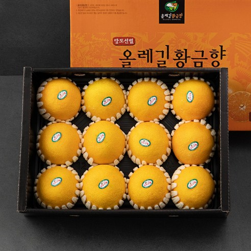 GAP 인증 올레길 황금향 선물세트, 3kg, 1박스 - 가격 변동 추적 그래프 - 역대가