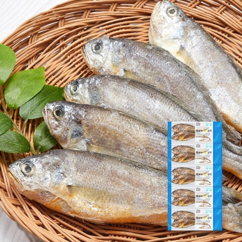 영광법성포 진공굴비 60gx10미 600g내외 - 굴비 | 쿠팡