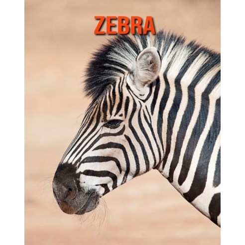 Zebra: Children''s Books --- Fun Facts & Cool Pictures Paperback ...