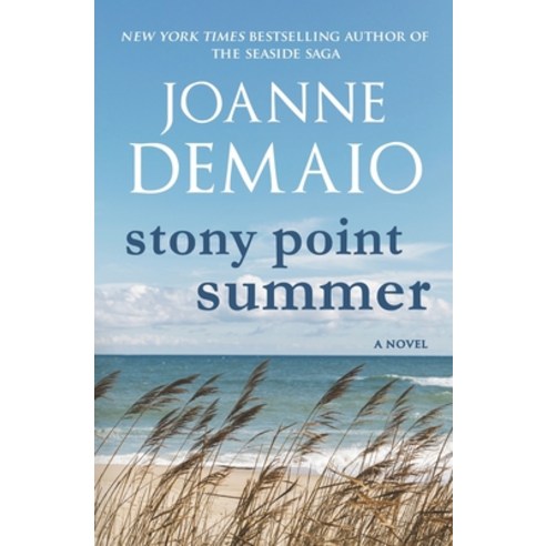 Stony Point Summer Paperback, Independently Published, English ...