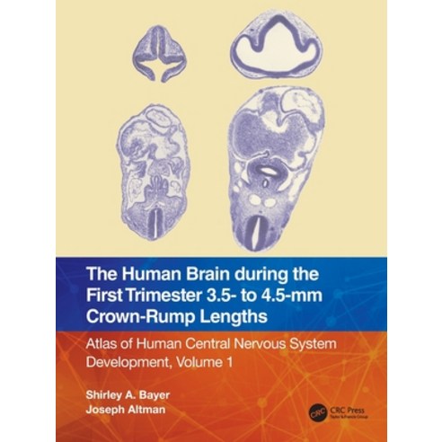 (영문도서) The Human Brain during the First Trimester 3.5- to 4.5-mm Crown ...