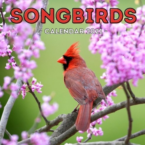 Songbirds Calendar 2021: 16-Month Cute Gift Idea For Songbird Lovers ...