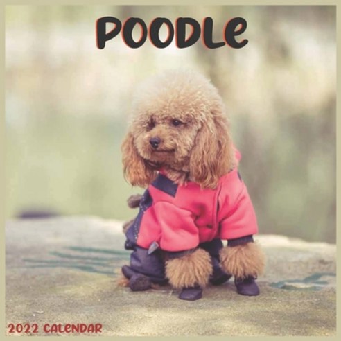 Poodle Calendar 2022: Official Poodle Dog breed Calendar 2022 16 Months ...