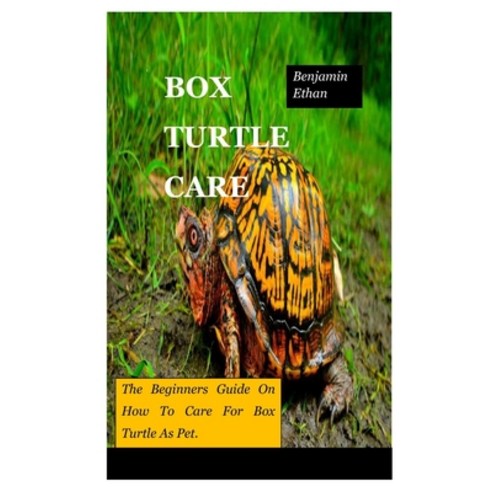 Box Turtle Care: The Beginners Guide On How To Care For Box Turtle As ...
