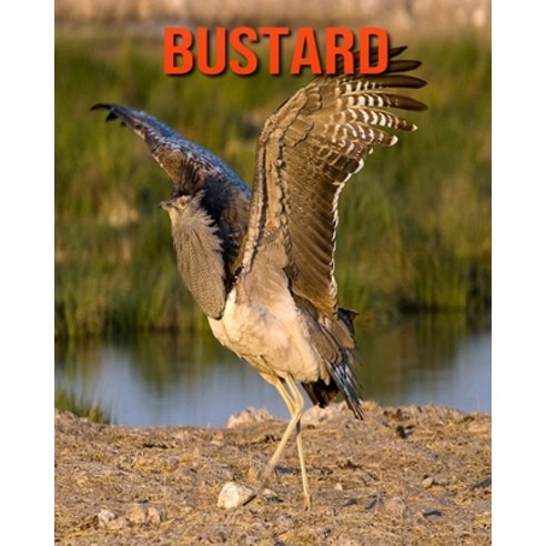 Bustard: Super Fun Facts And Amazing Pictures Paperback, Independently ...