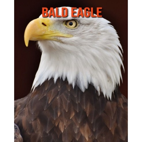 Bald Eagle: Amazing Photos & Fun Facts Book About Bald Eagle For Kids ...