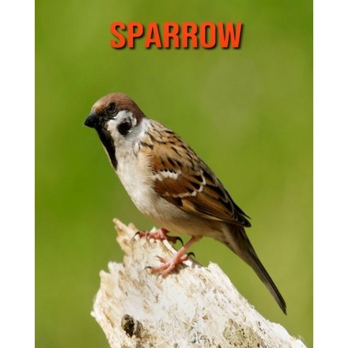 Sparrow: Fun Facts & Cool Pictures Paperback, Independently Published ...