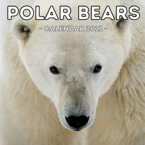 Polar Bears Calendar 2021: 16-Month Calendar Cute Gift Idea For Bear ...