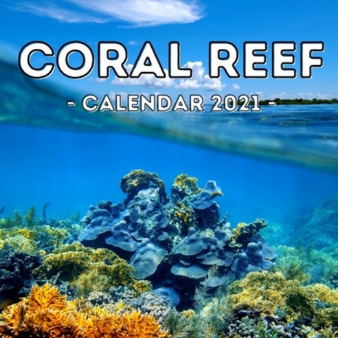 Coral Reef 2021 Calendar: Cute Gift Idea For Men Or Women Paperback ...