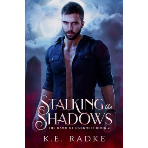 (영문도서) Stalking the Shadows: The Dawn of Darkness Book 2 Paperback, Independent