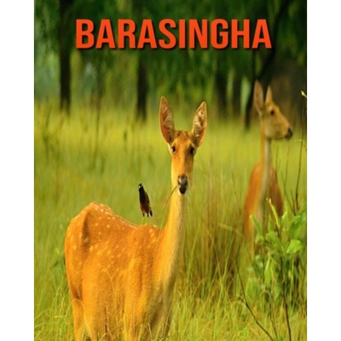 Barasingha: Amazing Facts about Barasingha Paperback, Independently ...