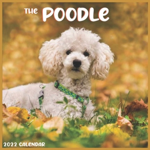 The Poodle Calendar 2022: Official The Poodle Dog breed Calendar 2022 ...