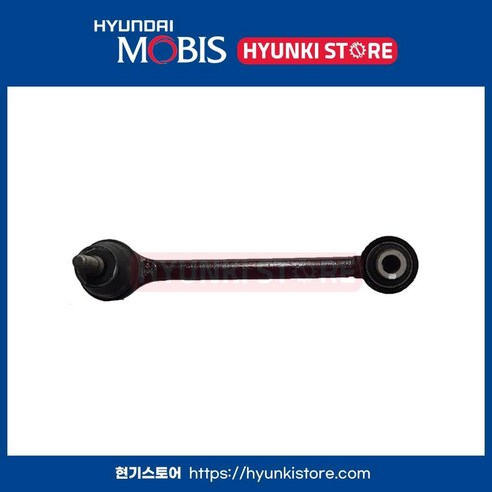 '암 리어 어시스트 (552502S000)' 최저가 검색, 최저가 32,230원 - 할인 알림