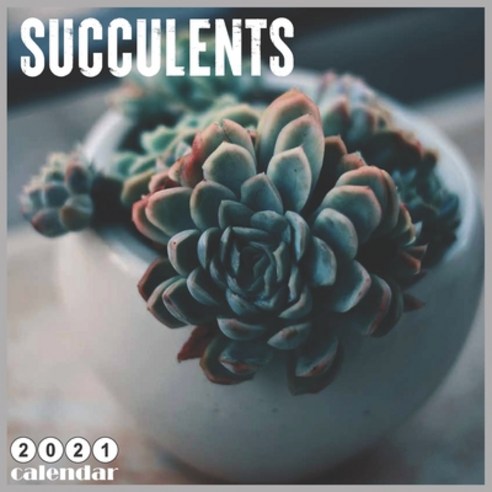 Succulents 2021 Calendar: 18 Months Calendar 2021 Official Succulents ...