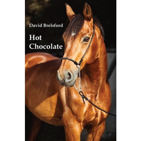 Hot Chocolate Paperback, Ginninderra Press, English, 9781761090875 - 가격 ...