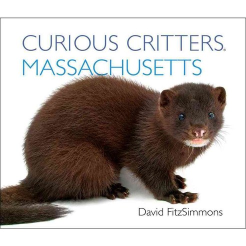 Curious Critters Massachusetts, Wild Iris Pub - 가격 변동 추적 그래프 - 역대가