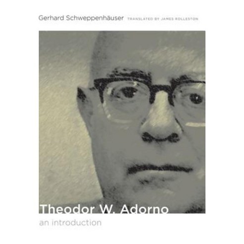 Theodor W. Adorno: An Introduction Paperback, Duke University Press ...