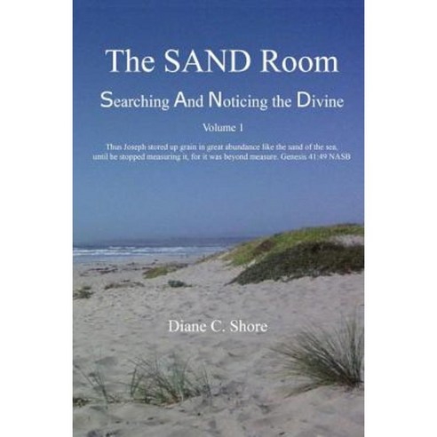 The Sand Room Vol. 1: Searching and Noticing the Divine Paperback ...