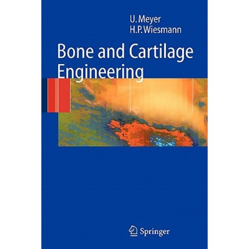 Bone and Cartilage Engineering Paperback, Springer - 가격 변동 추적 그래프 - 역대가