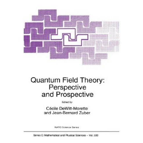 Quantum Field Theory: Perspective and Prospective Paperback, Springer ...