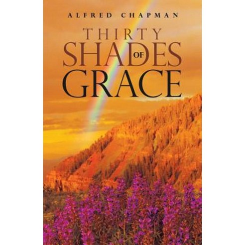 Thirty Shades of Grace Paperback, WestBow Press - 가격 변동 추적 그래프 - 역대가