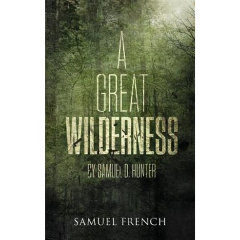 A Great Wilderness Paperback, Samuel French, Inc. - 가격 변동 추적 그래프 - 역대가