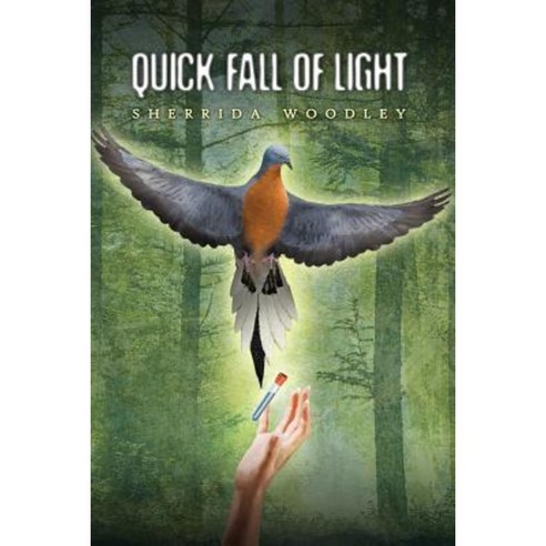 Quick Fall of Light Paperback, Createspace Independent Publishing ...