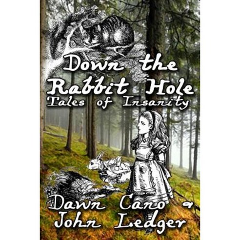 Down the Rabbit Hole: Tales of Insanity Paperback, Createspace ...
