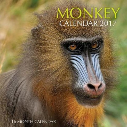 Monkey Calendar 2017: 16 Month Calendar Paperback, Createspace ...
