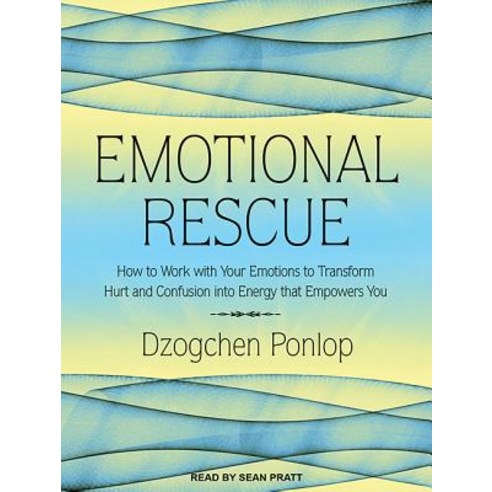 Emotional Rescue: How to Work with Your Emotions to Transform Hurt and ...
