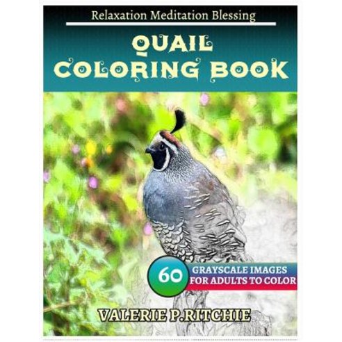 Quail Coloring Books: For Adults and Teens Stress Relief Coloring Book ...