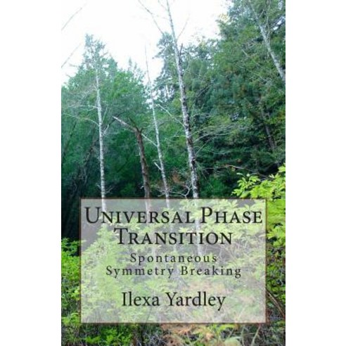 Universal Phase Transition: Spontaneous Symmetry Breaking, Createspace ...